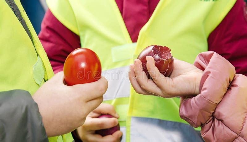 Children Holding Red Easter Eggs, One Cracked in Their Hands, Dressed ...