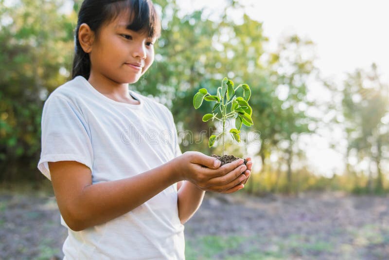 Children Planting Small Tree in Sunset. Concept Stock Photo - Image of ...