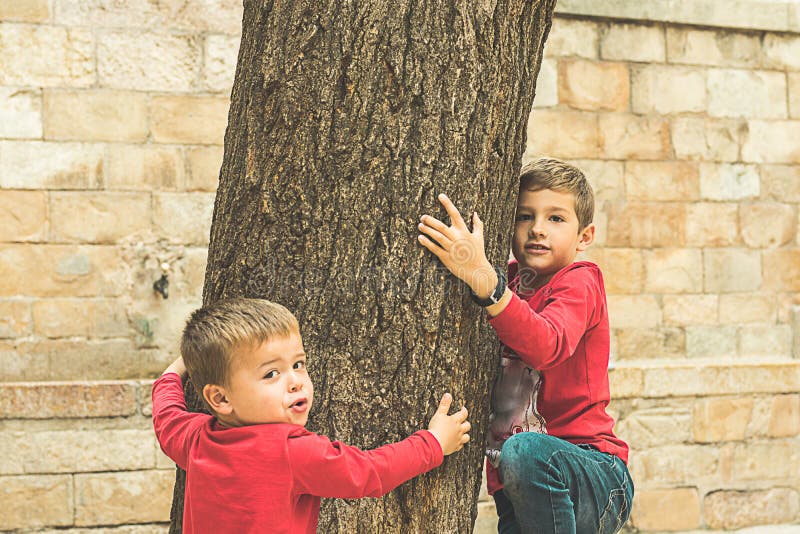 Children hugging a tree stock photo. Image of hands - 116959018