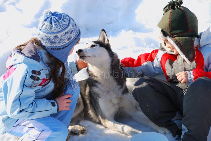 Children and husky dog stock image. Image of smiling, sunny - 5213549