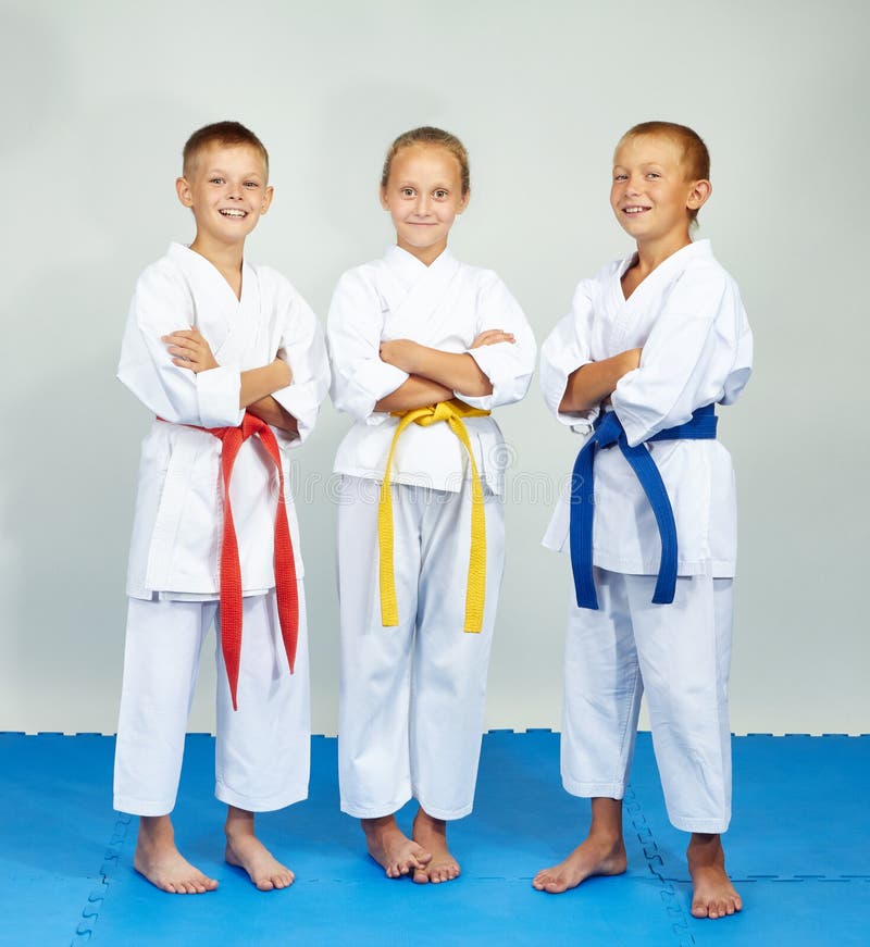 In Karategi Three Athletes are Hitting Karate Kick Arm Stock Image ...