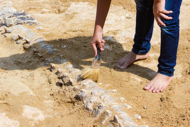 Children Learning about, Excavating Dinosaur Fossils Simulation Stock ...