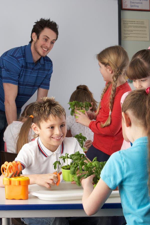 Children Learning about Plants in School Class Stock Image - Image of ...