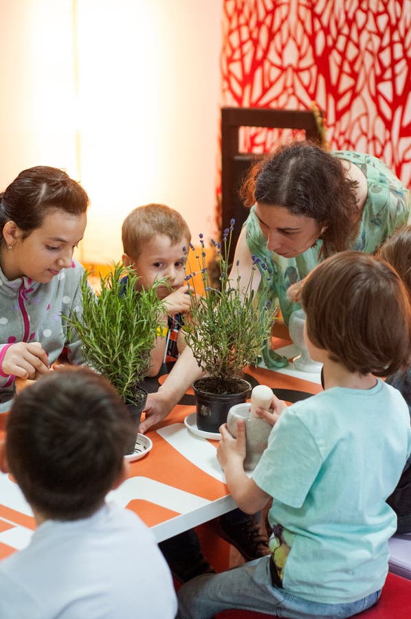 Children Learning about Plants at a Workshop Editorial Photography ...