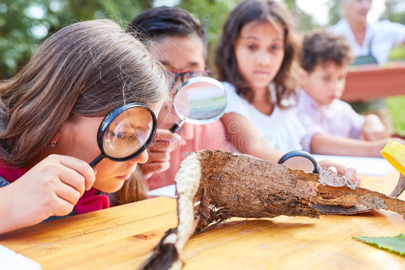 Children Look at Tree Bark through a Magnifying Glass Stock Image ...