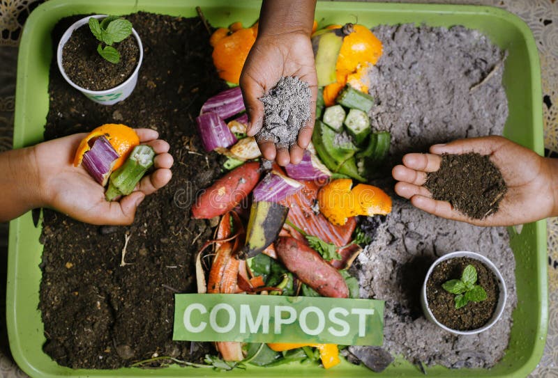 Children making composting stock photo. Image of fruits - 309842168
