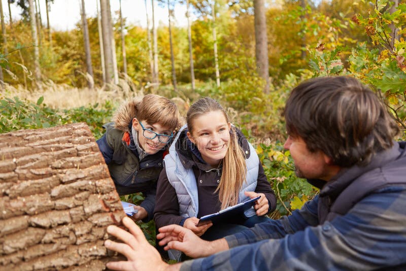 Children in Natural History Class Learn Tree Identification Stock Image ...
