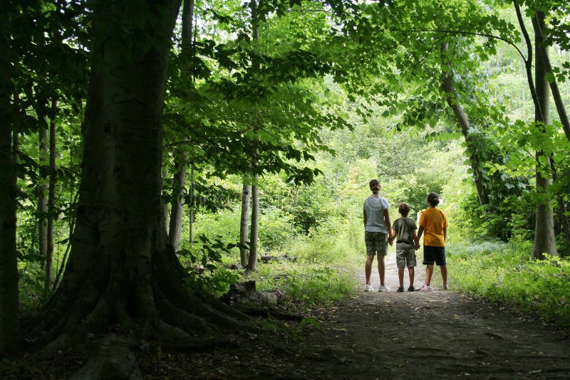 Children on Nature Hike stock photo. Image of woods, holding - 3011448