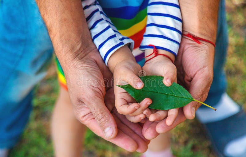 Children and Parents Hold a Piece of Leaf in Their Hands. Selective ...