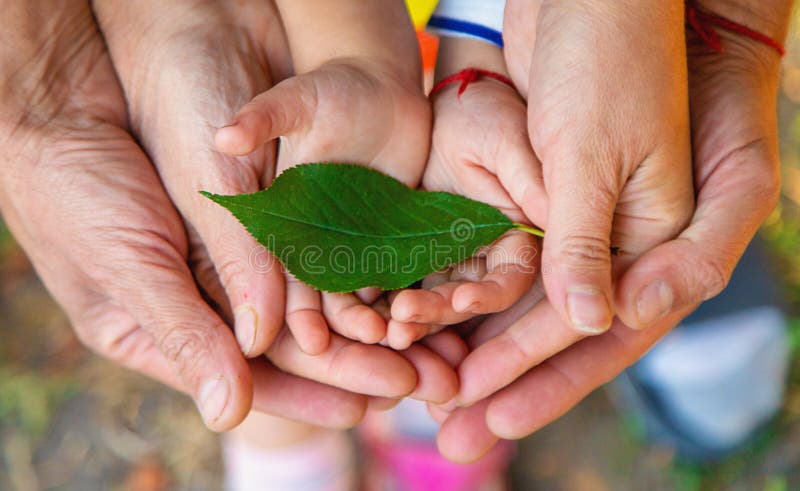 Children and Parents Hold a Piece of Leaf in Their Hands. Selective ...