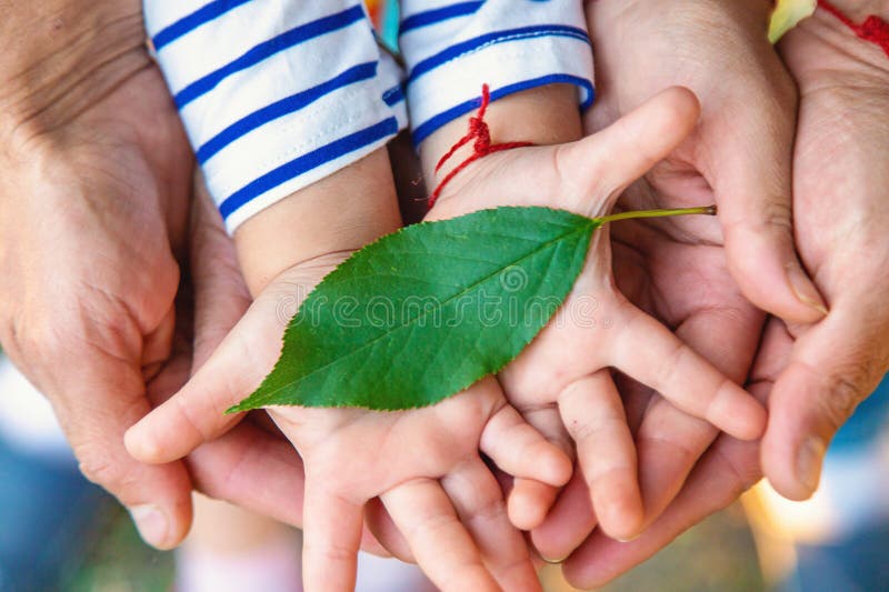 Children and Parents Hold a Piece of Leaf in Their Hands. Selective ...