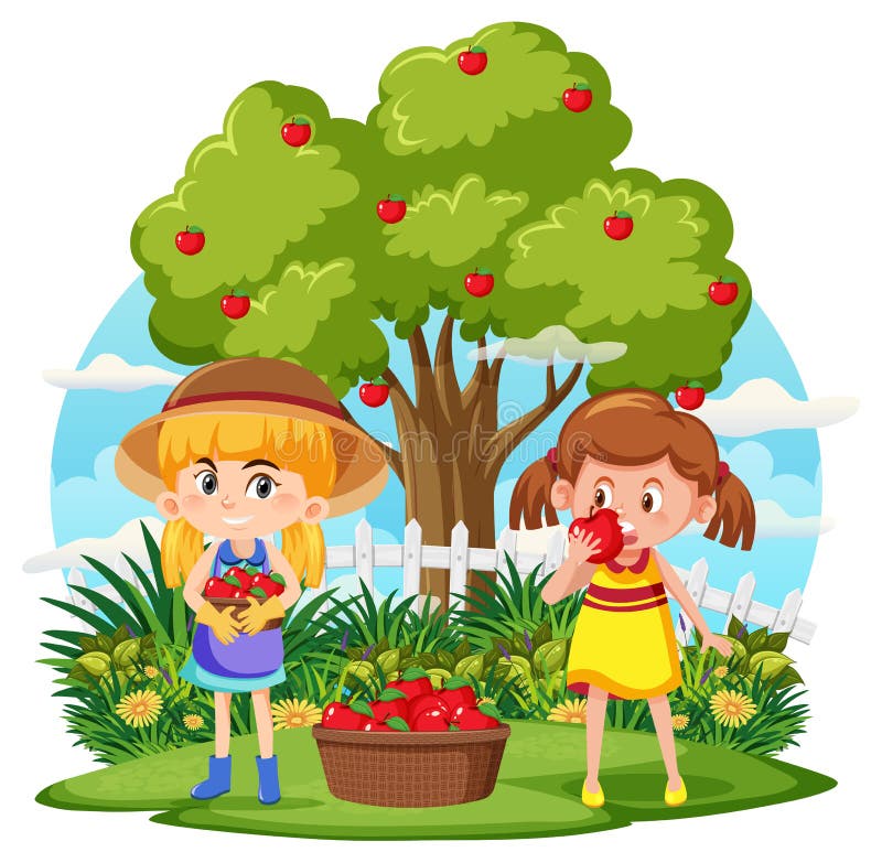 Fruit Picking Scene Stock Illustrations 627 Fruit Picking Scene Stock