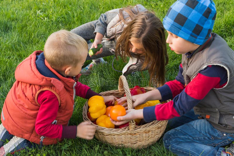 Children Play in the Garden on the Grass. Stock Image - Image of ...