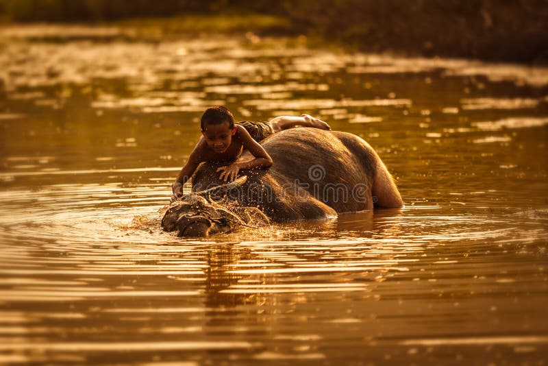 309 Children Water Buffalo Stock Photos - Free & Royalty-Free Stock ...