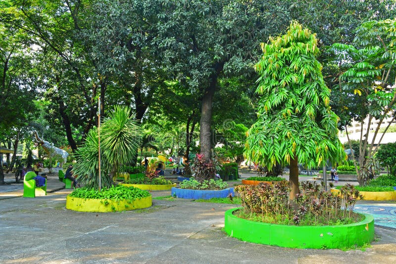 Children Playground Trees in Manila, Philippines Editorial Stock Image ...