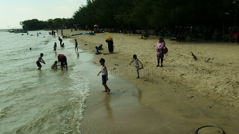 Children Playing on the Beach with Pine Trees in the Background Stock ...