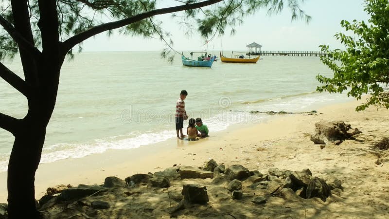 Children Playing on the Beach with Pine Trees in the Background Stock ...