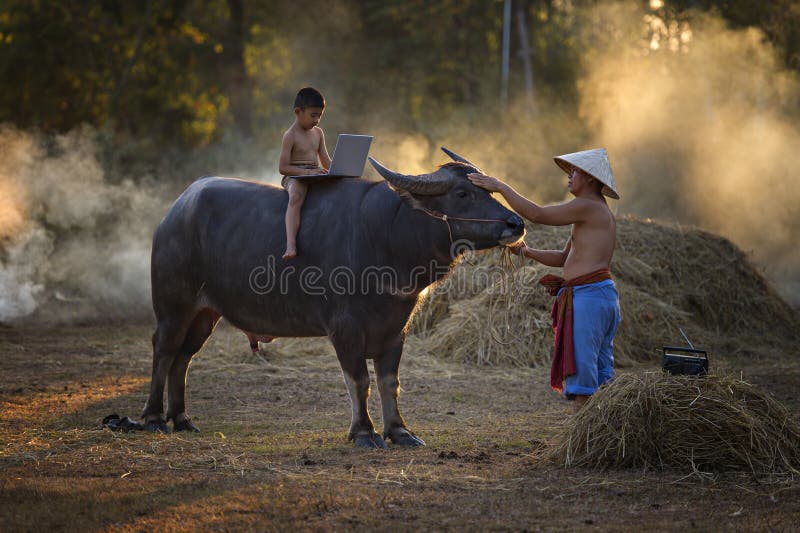Children Playing Computer and Riding Buffalo with His Father on during ...