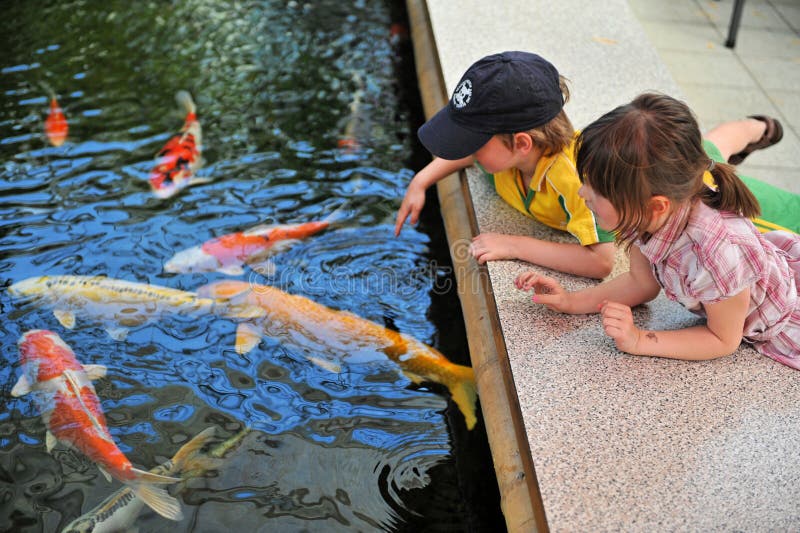 Children Playing with Fishes Stock Image - Image of fishes, girl: 5208797