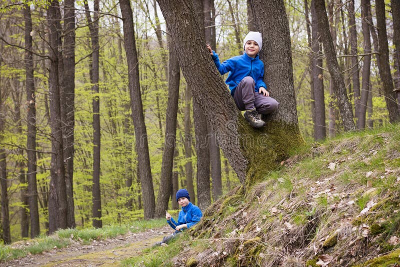 Children playing in forest stock image. Image of trees - 91437433