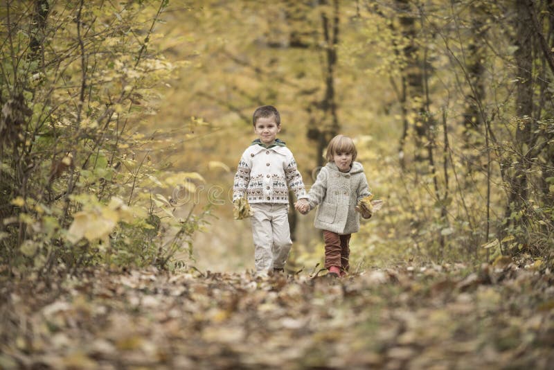Children Playing in a Forest Stock Image - Image of woods, people: 48826503