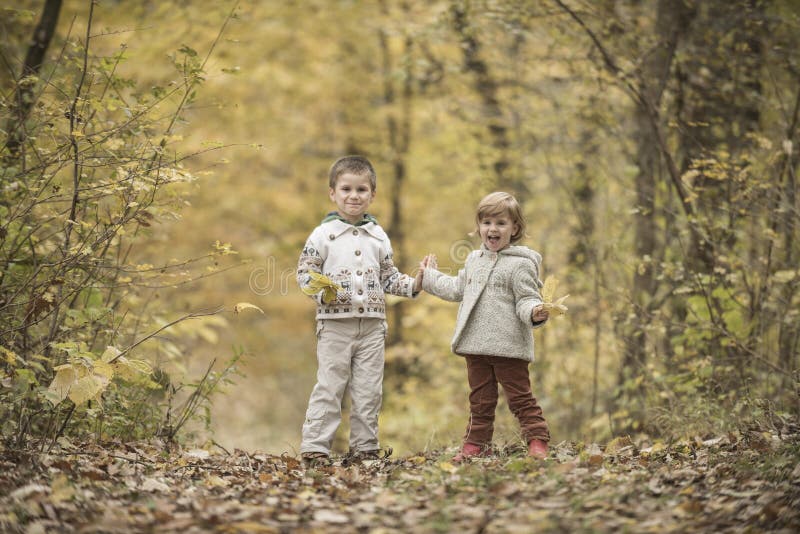 Children Playing in a Forest Stock Image - Image of cheerful, natural ...