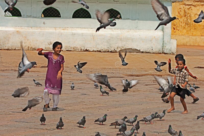 Children Playing with Pigeon Editorial Photography - Image of peace ...