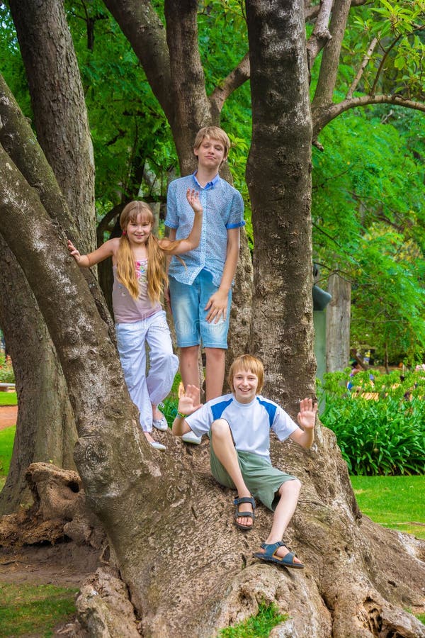 Children Playing on a Tree in the Park Stock Photo - Image of park ...