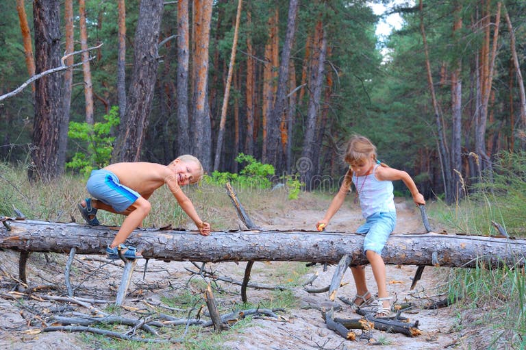 2,001 Woods Bar Stock Photos - Free & Royalty-Free Stock Photos from ...