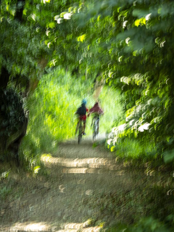 Children Riding a Bicycle in a Forest Path - Motion Blur Image Stock ...