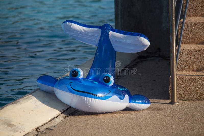 Children`s Beach Toy in Dolphin Shape on the Pool Stock Photo - Image ...