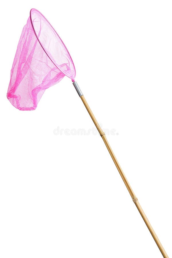 Butterfly net stock photo. Image of insect, stick, stand - 789734