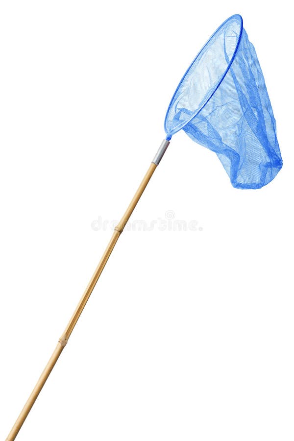 Butterfly Net for Catching Butterflies Stock Photo - Image of color ...
