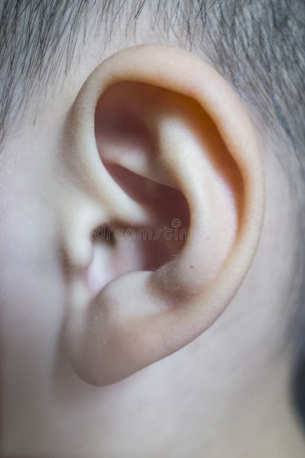 1,236 Children's Ears Stock Photos - Free & Royalty-Free Stock Photos ...