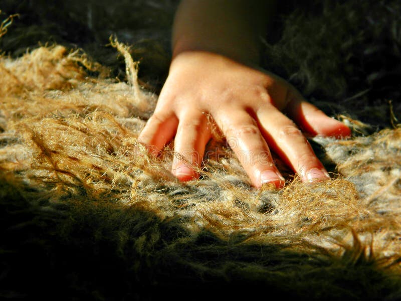 Children`s Hand Lit by Autumn Light Stock Photo - Image of close, hand ...