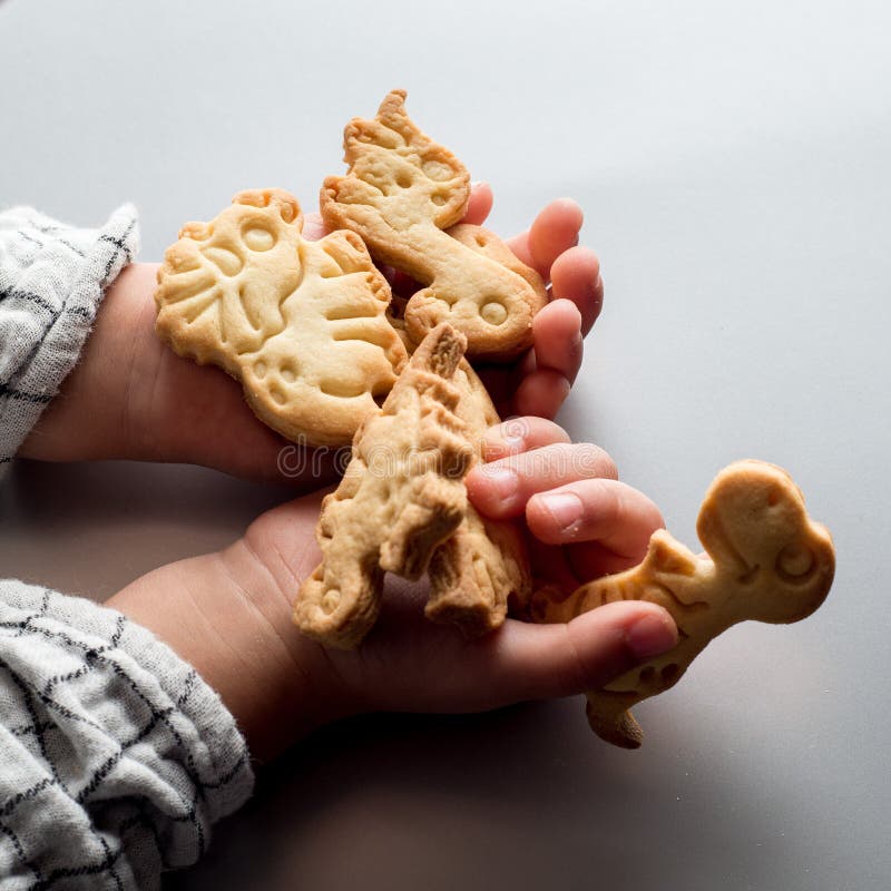 Children S Hands Hold Cookies Dinosaur Shaped Cookies Stock Image ...
