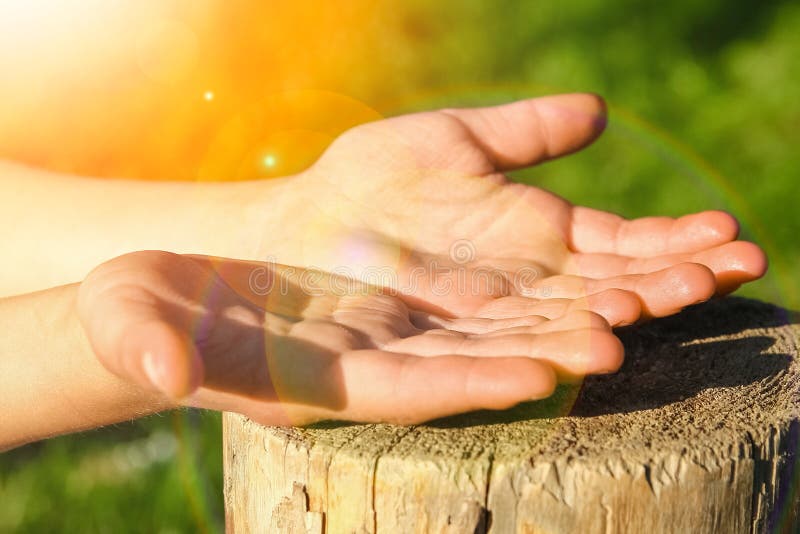 Children`s Hands Hold a Stump in the Park in Nature Stock Photo - Image ...