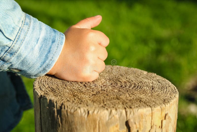 Children`s Hands Hold a Stump in the Park in Nature Stock Image - Image ...