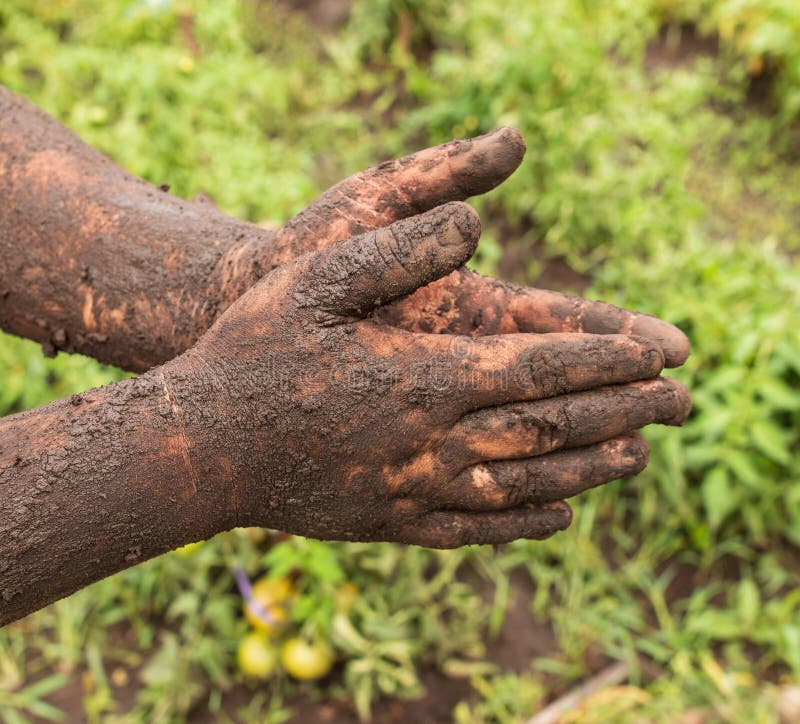 Children`s Hands in the Mud Stock Photo - Image of hands, children ...