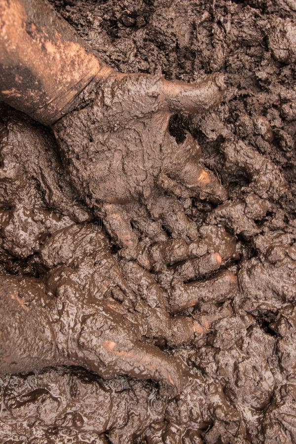 Children`s Hands in the Mud Stock Photo - Image of layer, summer: 171278354