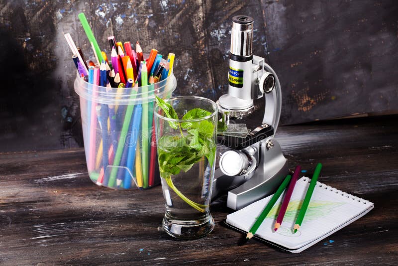Children S Microscope in Still Life Table Leaves, Plant, Foliage ...