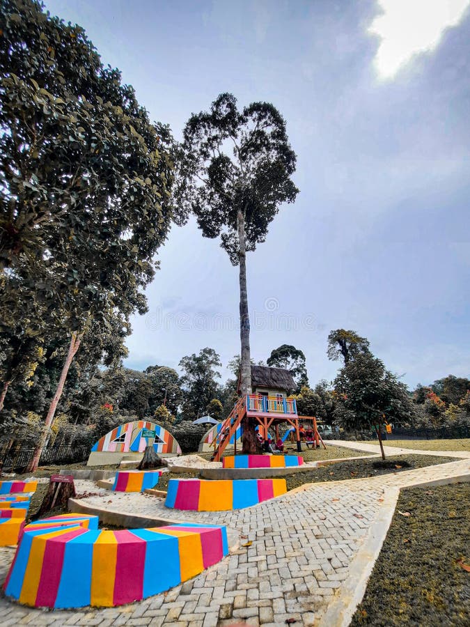 Children& X27;s Playground Surrounded by Natural Trees Stock Photo ...
