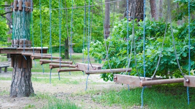 Children& X27;s Rope Adventure Park in Serene Pine Forest Setting Stock ...
