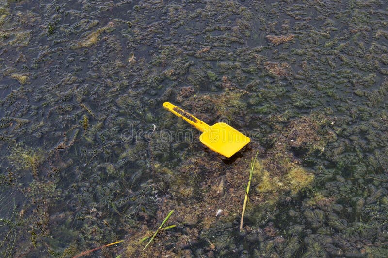 Children S Yellow Plastic Shovel Floating on Water Stock Photo - Image ...