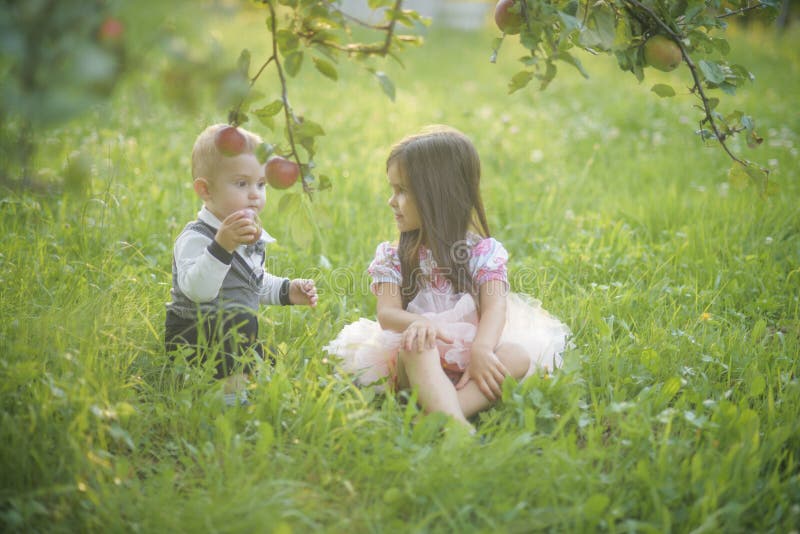 Children Sit Under Apple Tree in Summer Park Stock Image - Image of ...