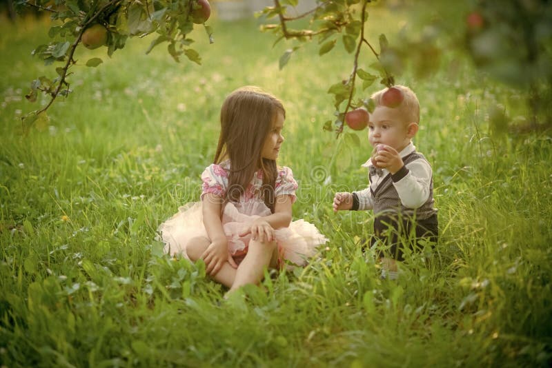 Children Sit Under Apple Tree in Summer Park Stock Image - Image of ...