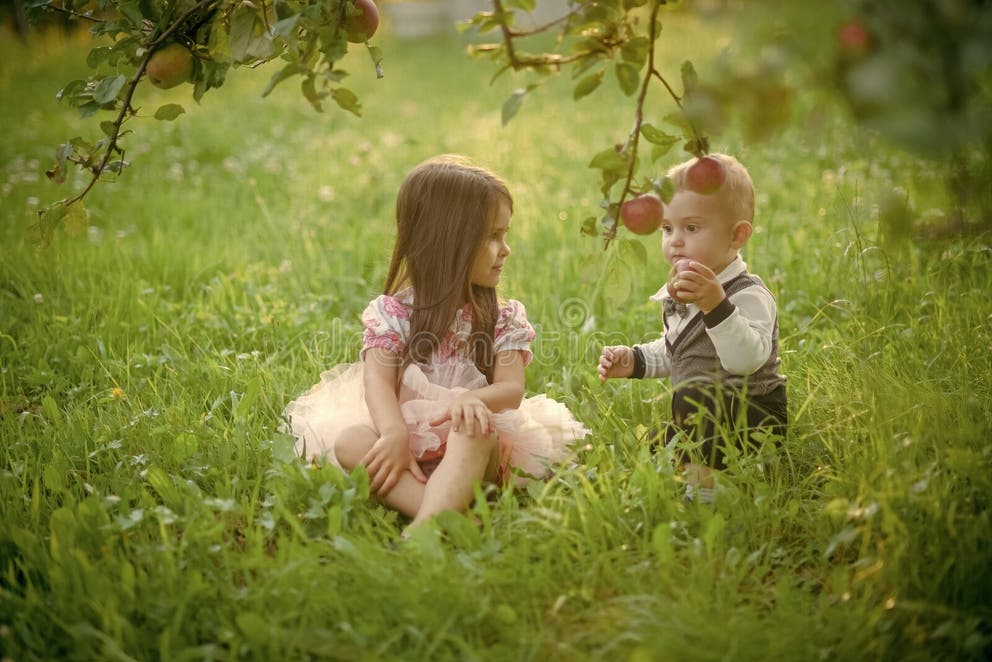 Children Sit Under Apple Tree in Summer Park Stock Image - Image of ...