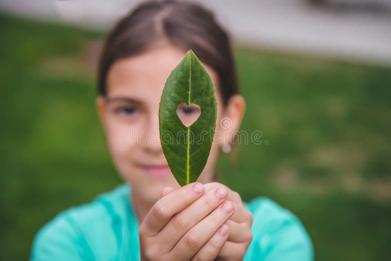 Children Take Care of Nature Tree in Their Hands. Selective Focus Stock ...