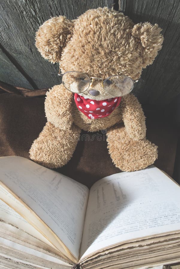 Children Teddy Bear with Book Stock Photo - Image of smile, small: 53962138