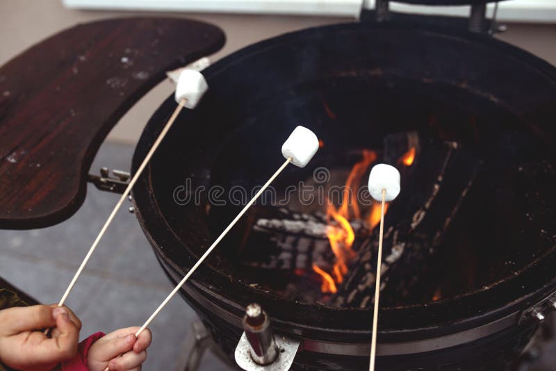Children Toast Marshmallows Stock Photo - Image of fire, family: 172021468